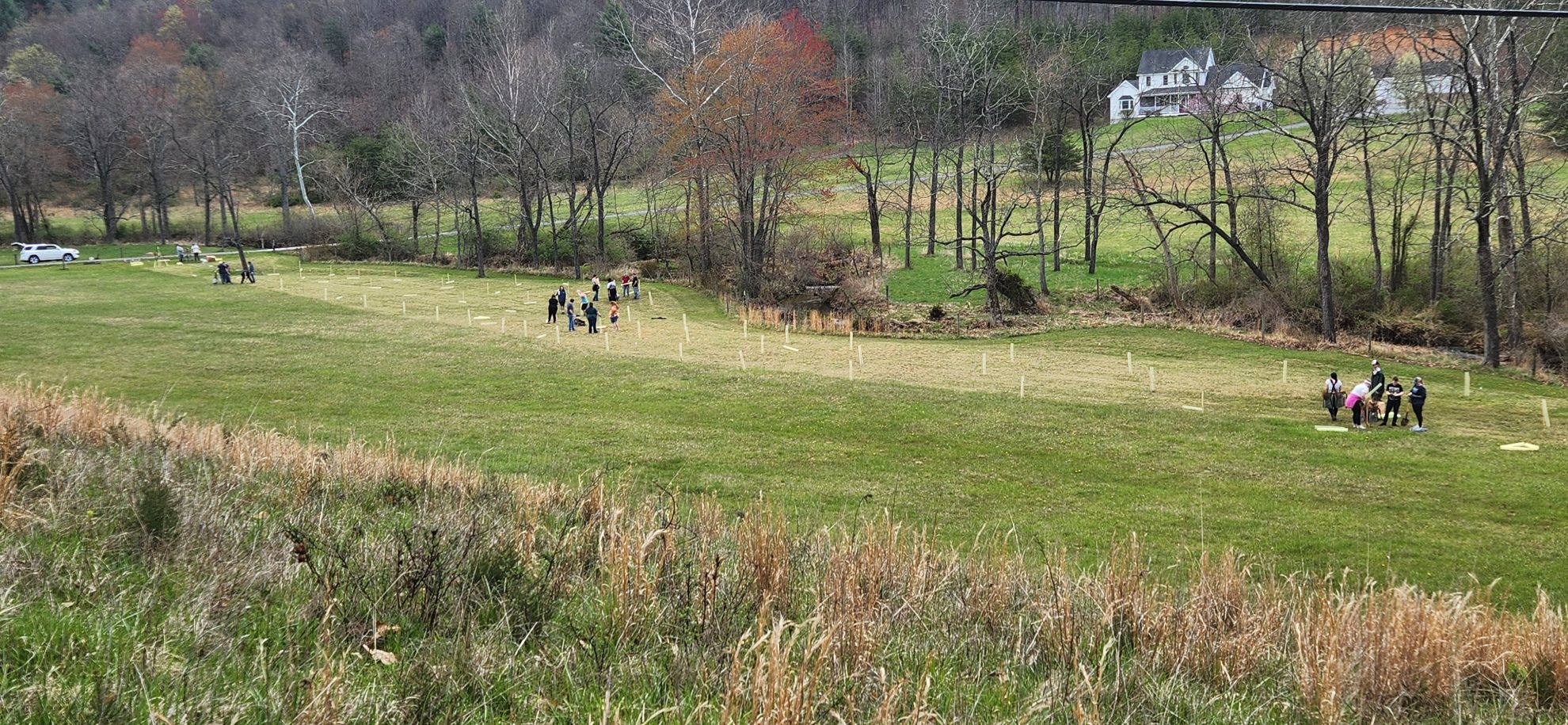 Blue Ridge Community and Technical College Students Plant 400 Trees in ...